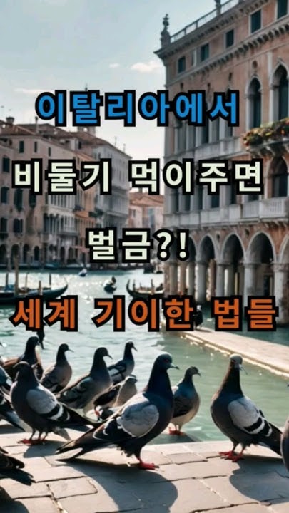 세계 기이한 법들 Top5 이탈리아에서 비둘기 먹이 주면 벌금 Youtube