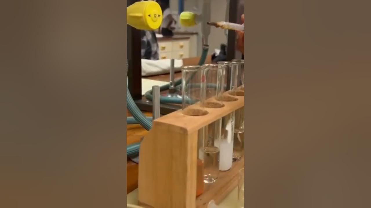 ACID AND BASE EXPERIMENT - YouTube