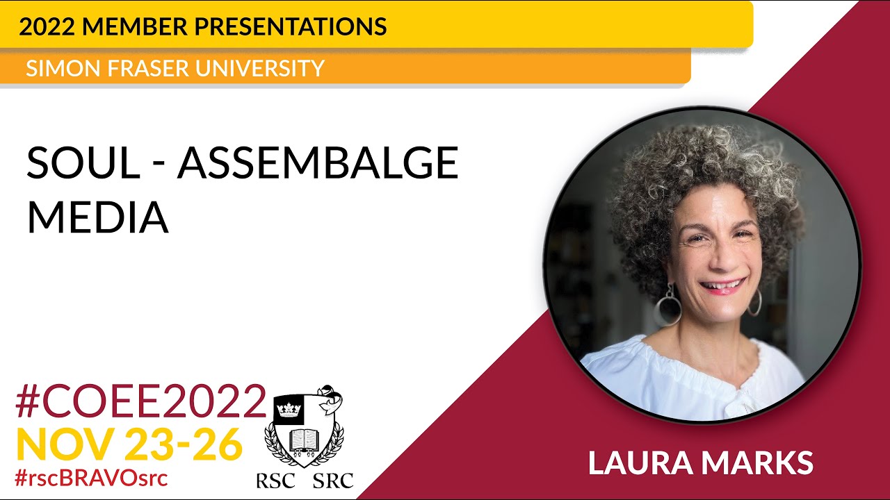 2022 RSC Member Presentations | Soul-Assemblage Media | Laura Marks ...