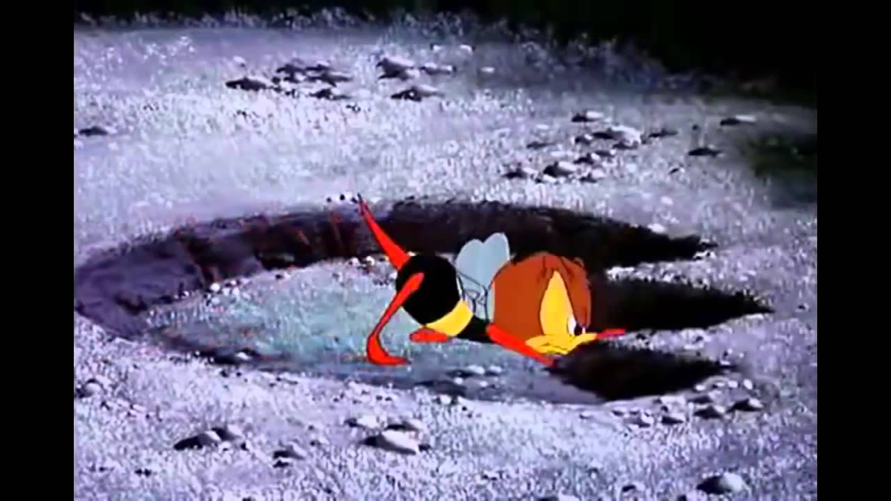 Funny cartoons for children - Special Selection of Donald Duck with ...