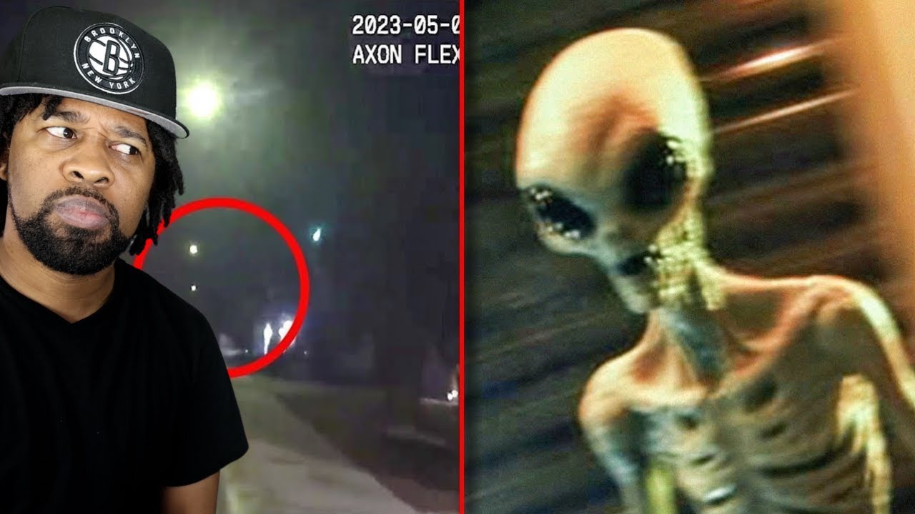 They Filmed An Alien In Forest, The Ending Will Shock You - YouTube