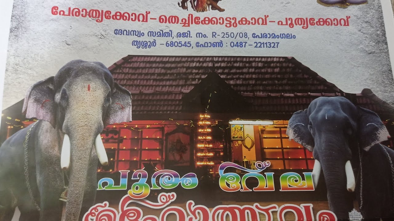 #kaliveedumalayalam Thechikottukavu Temple/pooram/Our famous elephants ...