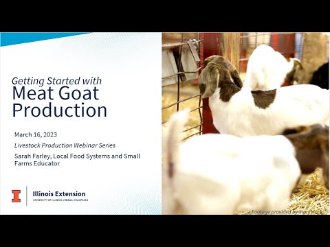 Getting Started with Meat Goat Production - YouTube