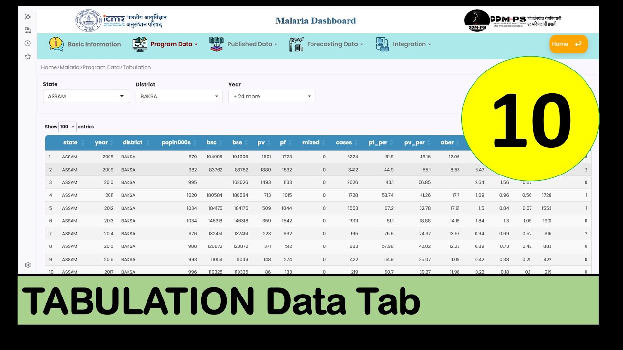 Understanding Tabulation Tab - YouTube