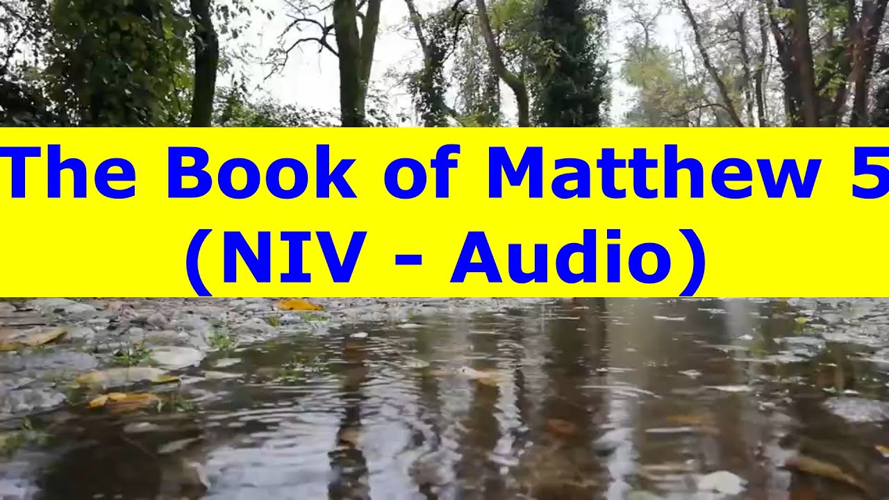 The Book of Matthew 5 (New International Version-Audio) - Bible ...