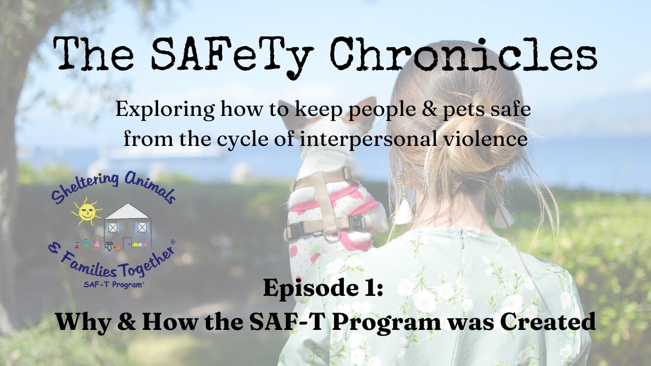The SAFeTy Chronicles Episode 1: Why & How the SAF-T Program was ...