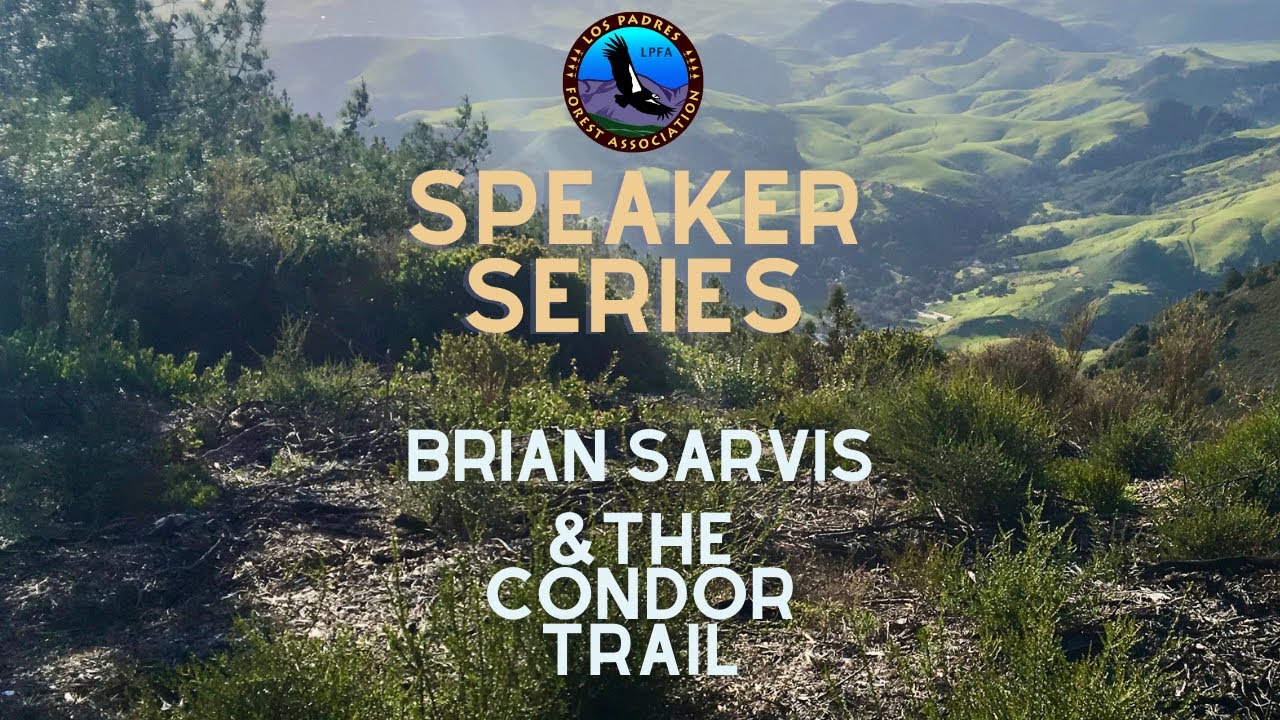 LPFA Speaker Series: Brian Sarvis - YouTube