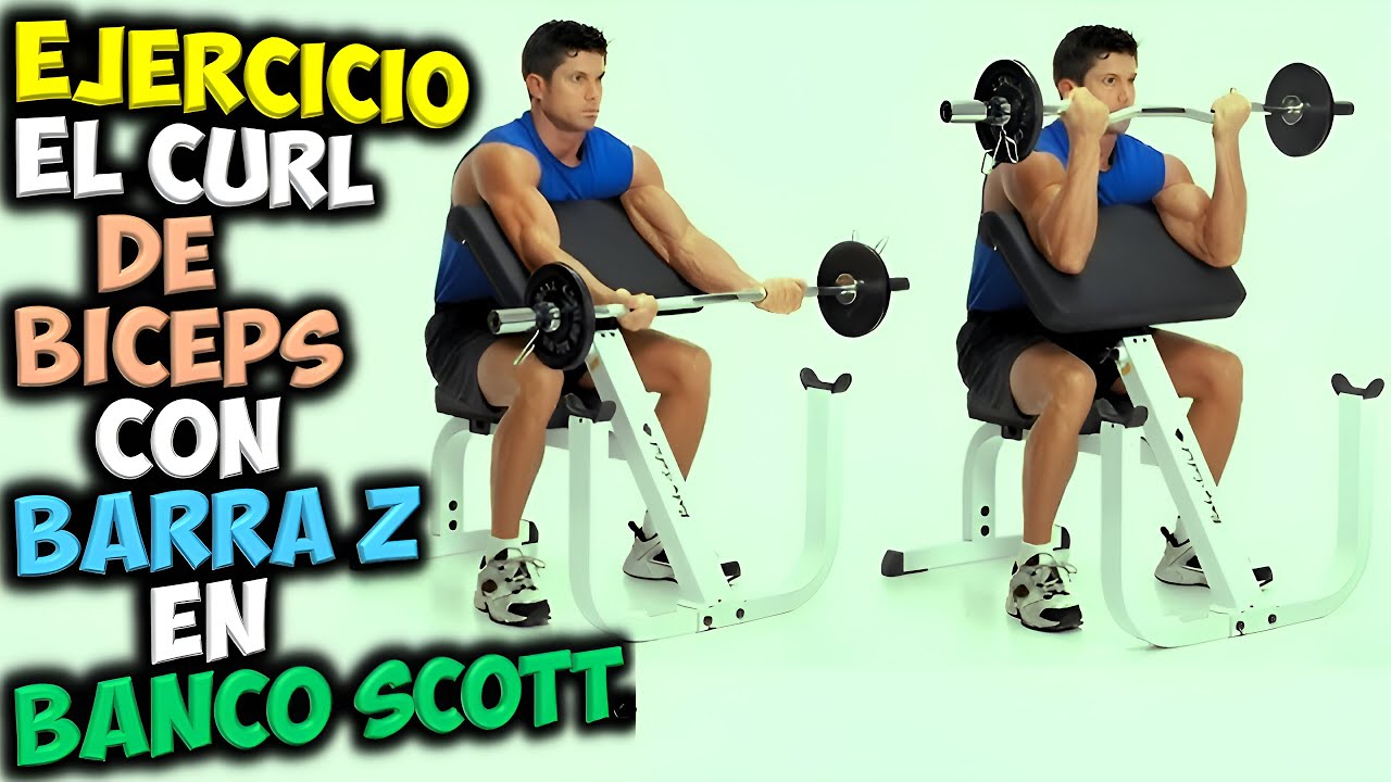 EJERCICIO 💪 El CURL De BICEPS Con BARRA Z 👉 En BANCO SCOTT | Gana ...
