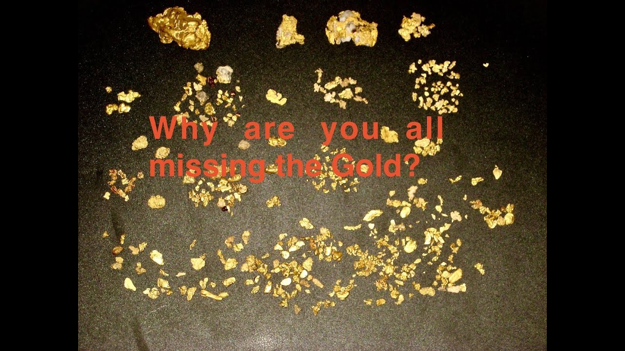 Why detectorists lose Gold, Coins or any target, I will prove it. - YouTube