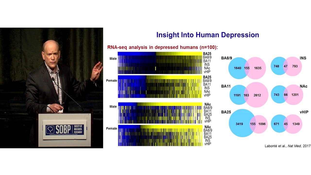 Dr. Eric Nestler: Sex Differences in the Molecular Basis of Depression ...