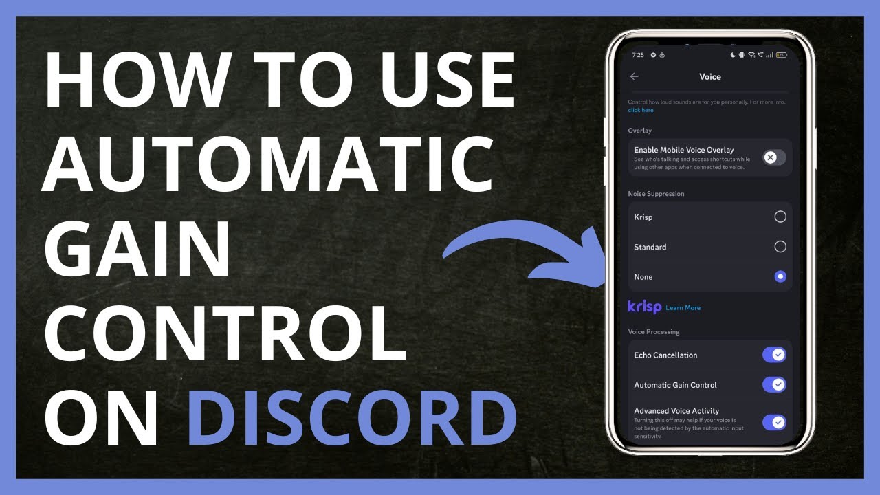 How to Use Automatic Gain Control on Discord in 2024 - YouTube