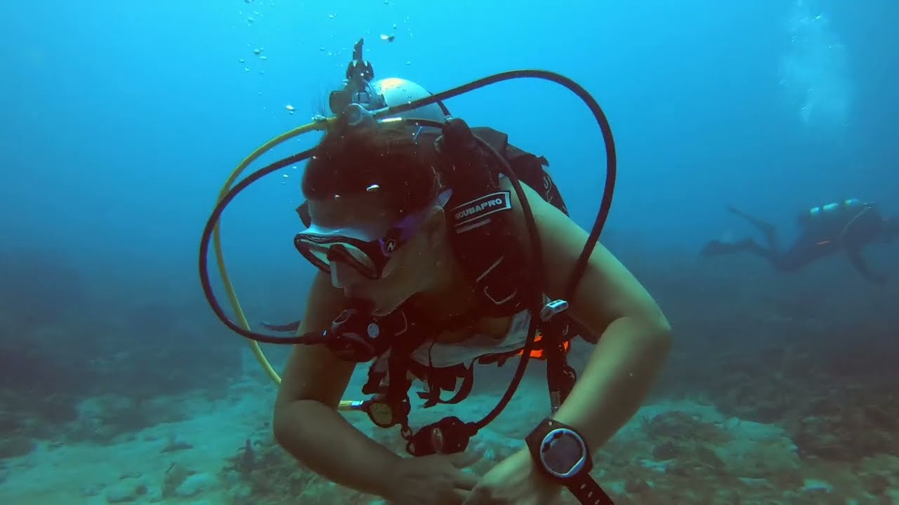 Angela's Guided Dive - YouTube