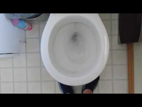 Universal Rundle Atlas Toilet - YouTube
