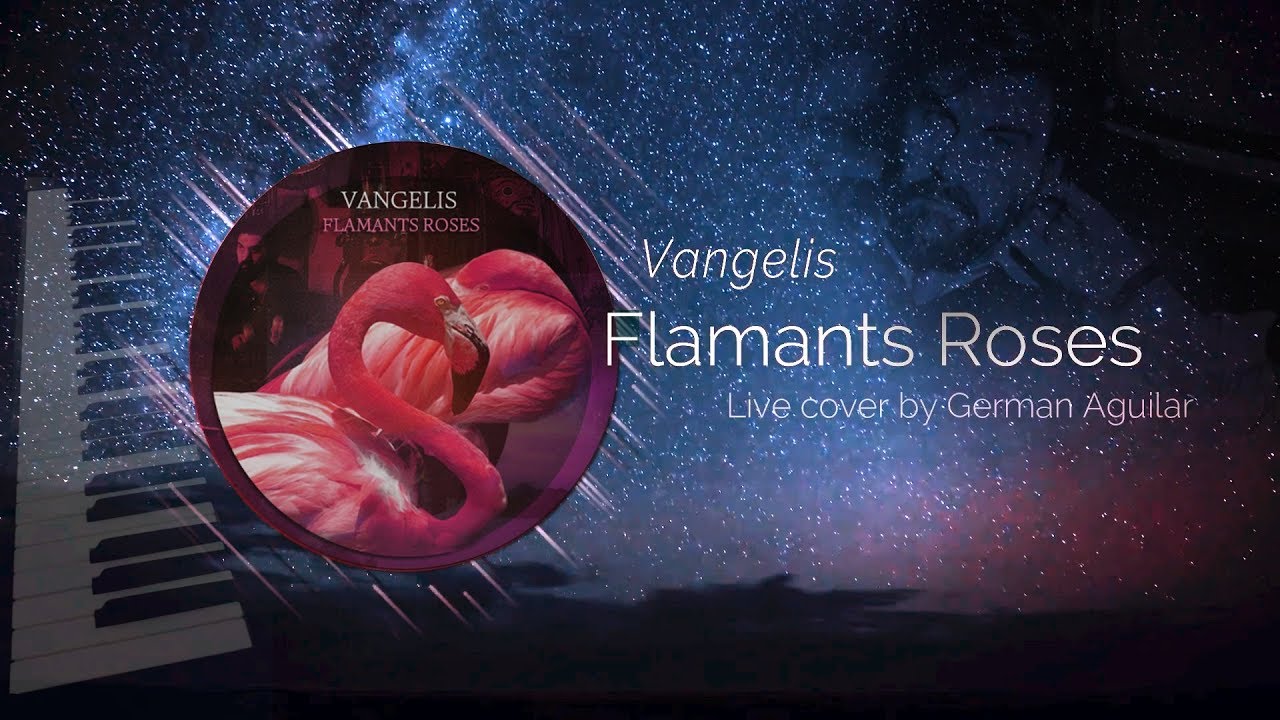 Flamants Roses Vangelis Live Cover By Germán Aguilar - YouTube