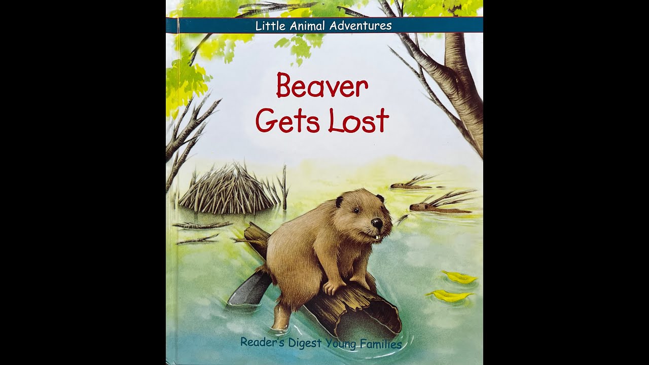 Beaver Gets Lost (With NF Info) - YouTube