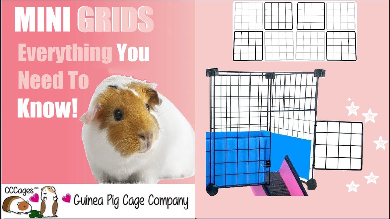 Mini Grids for C&C Guinea Pig Cages: A Quick Guide - YouTube