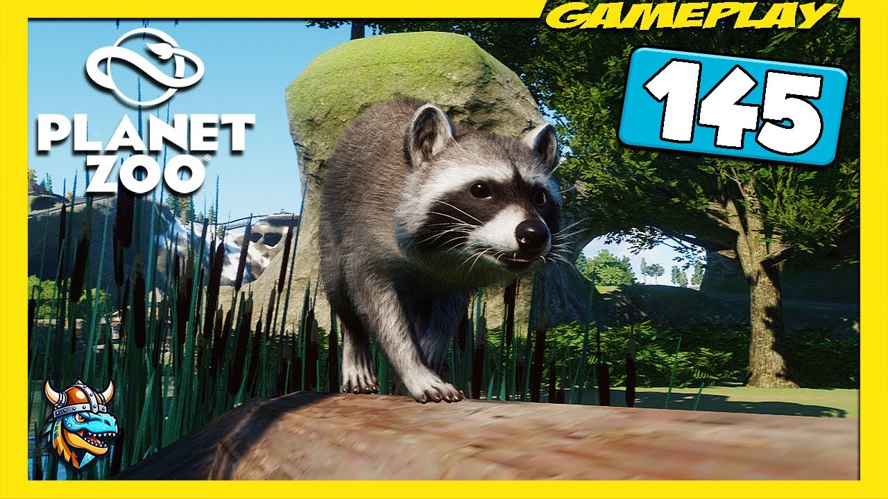 FIN DE L'ENCLOS RATON LAVEUR ET MOUFETTE - PLANET ZOO #145 ...
