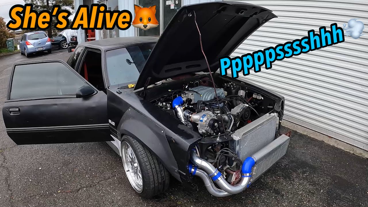 SuperCharged 5.0 Mustang: First Start Up/ First Drive! IT'S ALIVE ...
