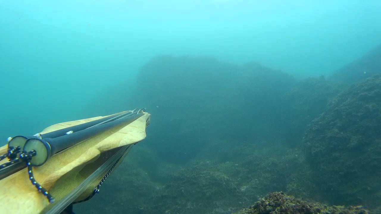 Sea Hawk Sub 60 e SJ4000 novatek - YouTube