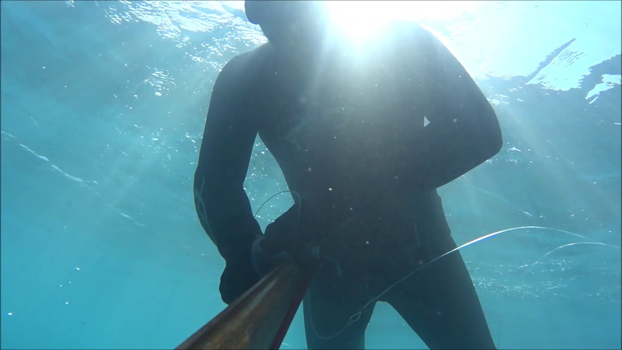Spearfishing in Samos /Ψαροντουφεκο στην Σαμο- Μπάφες - YouTube