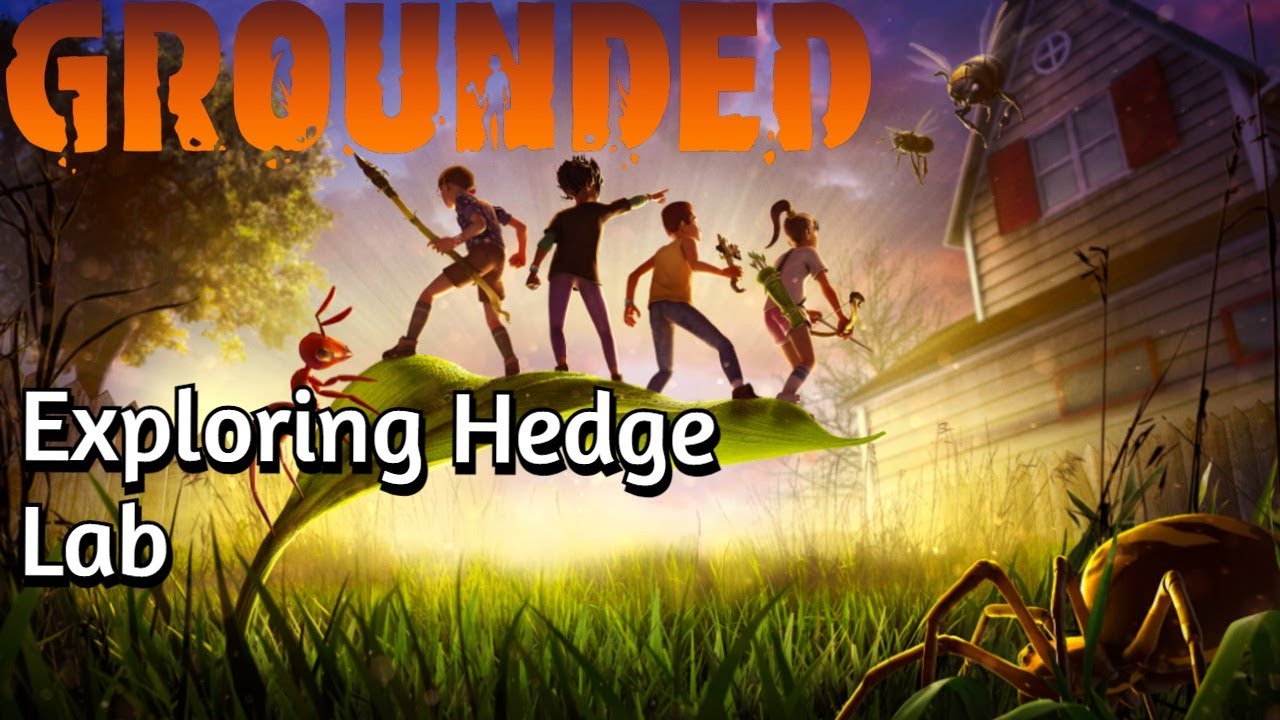 Rex And I Explore The Hedge Lab | Grounded - YouTube