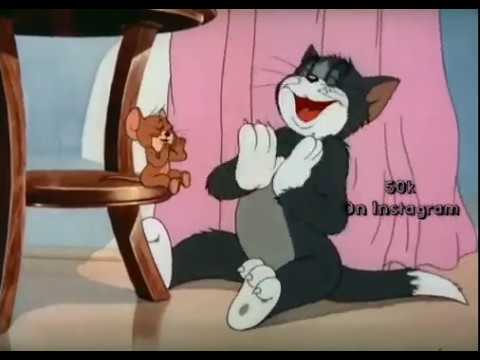 Tom and Jerry Club - Celebrating 50k On Instagram