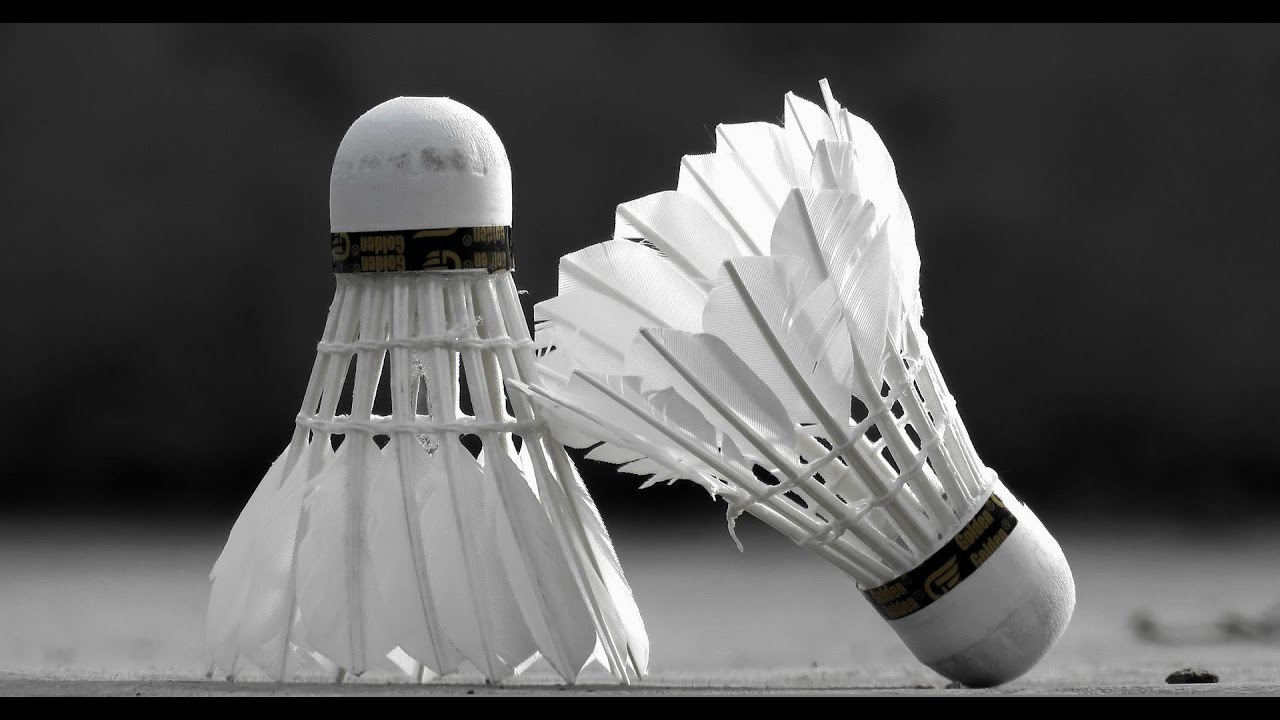 Intricate Aerodynamics of Shuttlecock - Premier Aerodynamics Podcast ...