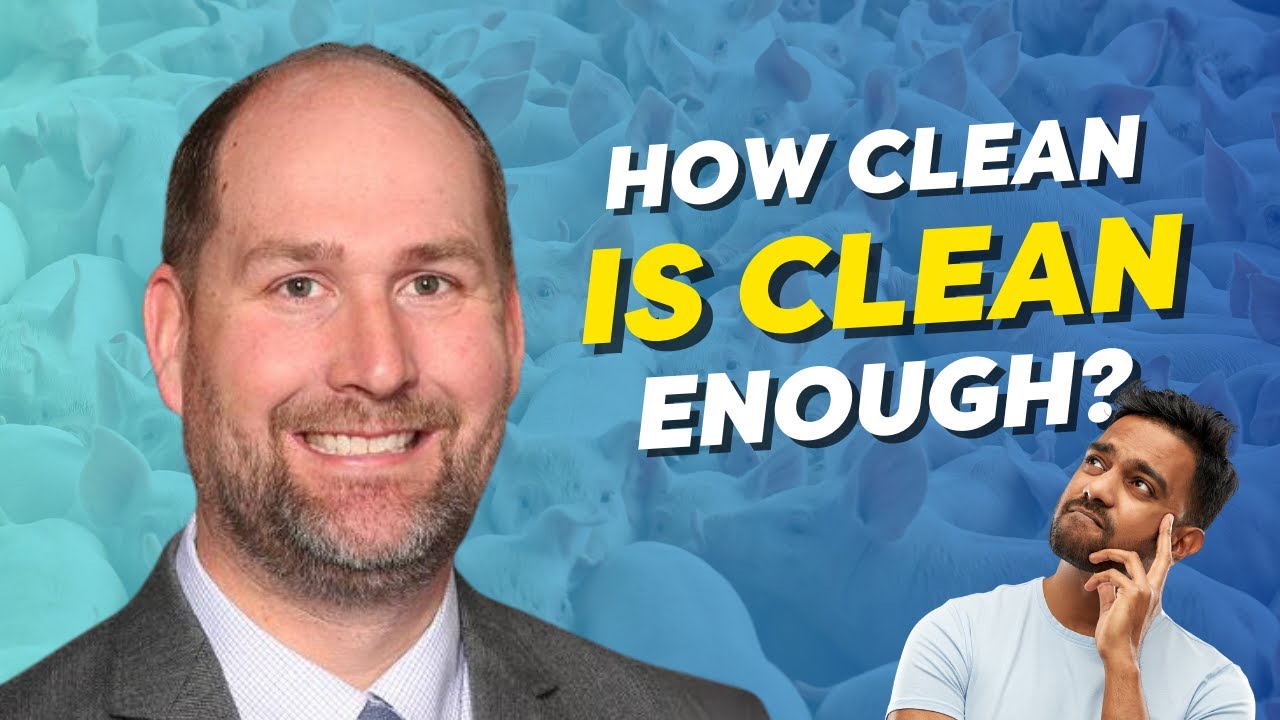 How Clean Barns Save Pigs - Aaron Juergens - YouTube