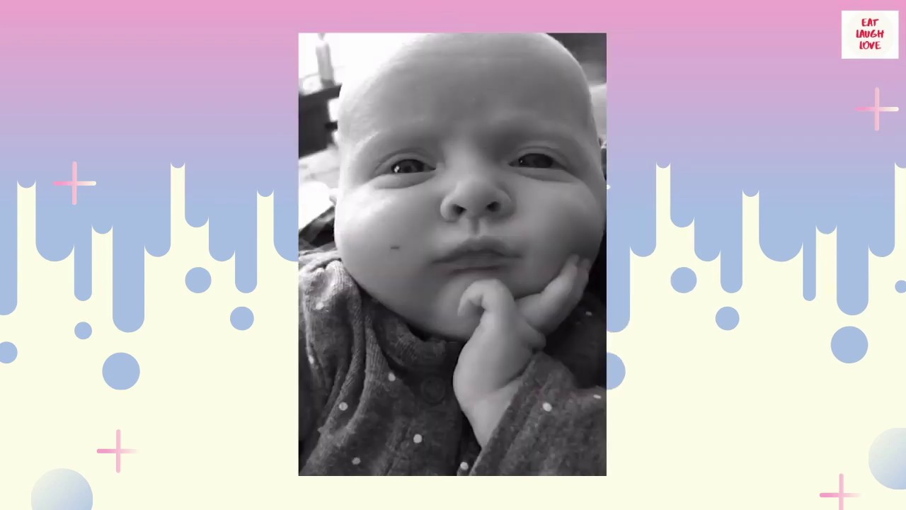 Funny Baby & Pet Videos - Cutest Babies Playing with Pets - Eat Laugh ...