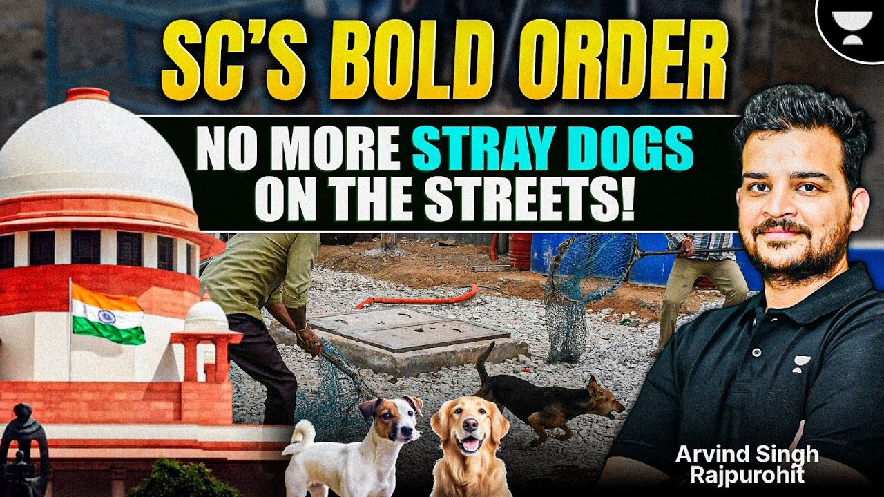 Why Supreme Court Ordered Immediate Capture of Stray Dogs ? | No More ...
