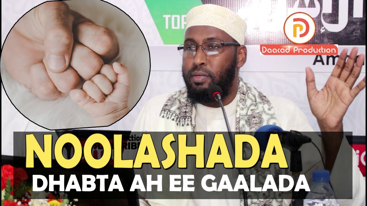 NOOLASHA DHABATA AH EE GAALADA || Sh Suddaan Qorane - YouTube
