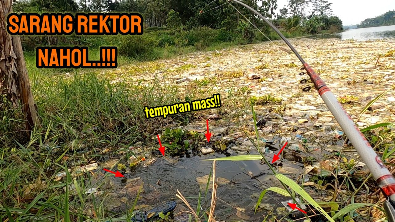 SARANG REKTOR NAHOL‼️KETEMU SPOT KAYA GINI PASTI JACPOT || mancing ikan ...