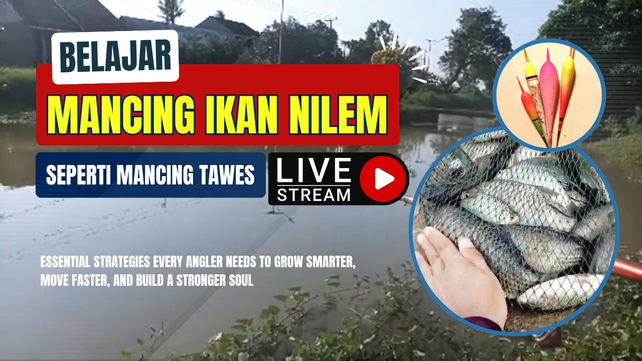 TEKNIK MANCING NILEM BERDASAR MANCING TAWES‼️ #mancingnilem - YouTube