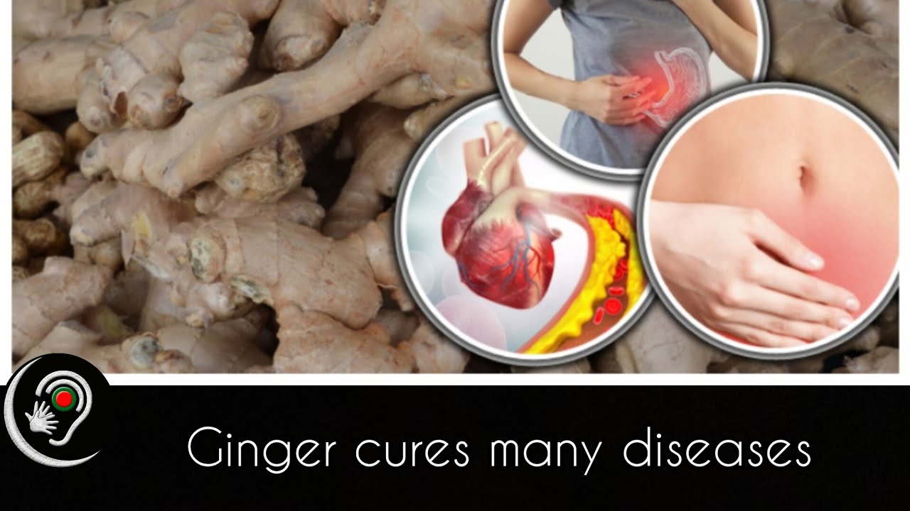 Ginger cures many diseases - YouTube