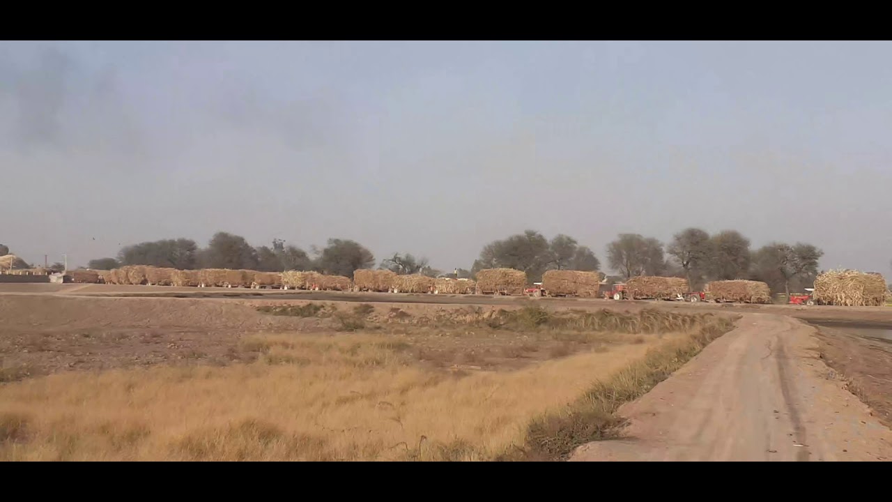 Sillanwali Sugar mill limited Farooka - YouTube