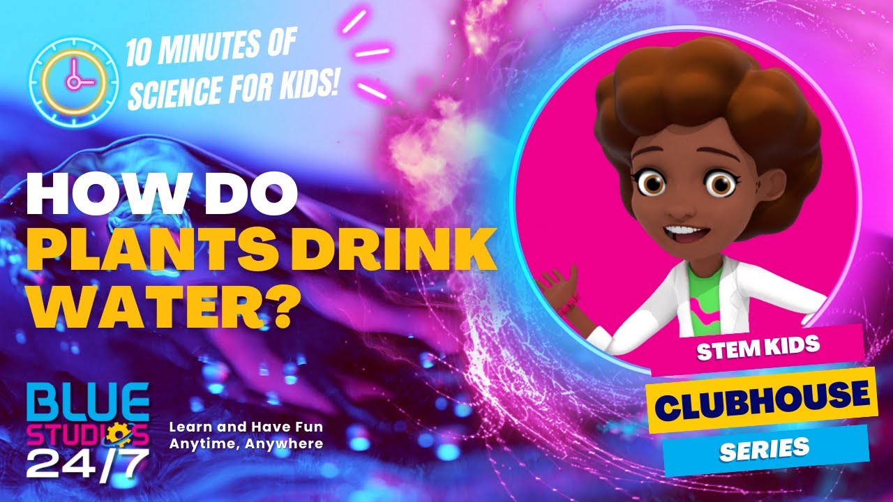 Parts of Plants and Function for Kids! - YouTube