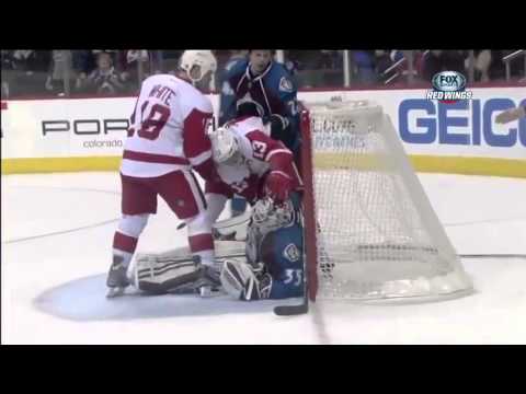 Pavel Datsyuk Goals (2013) - YouTube