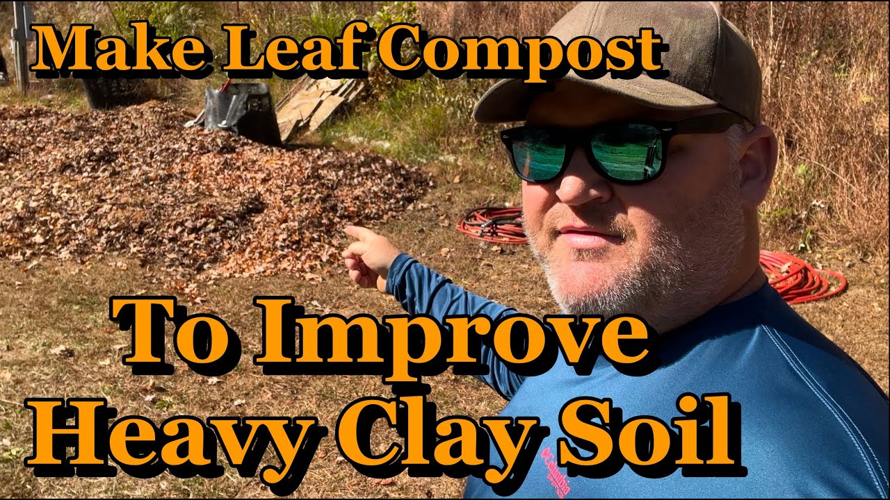 Make Leaf Compost In The Fall To Help Improve Heavy Clay Soil In The ...