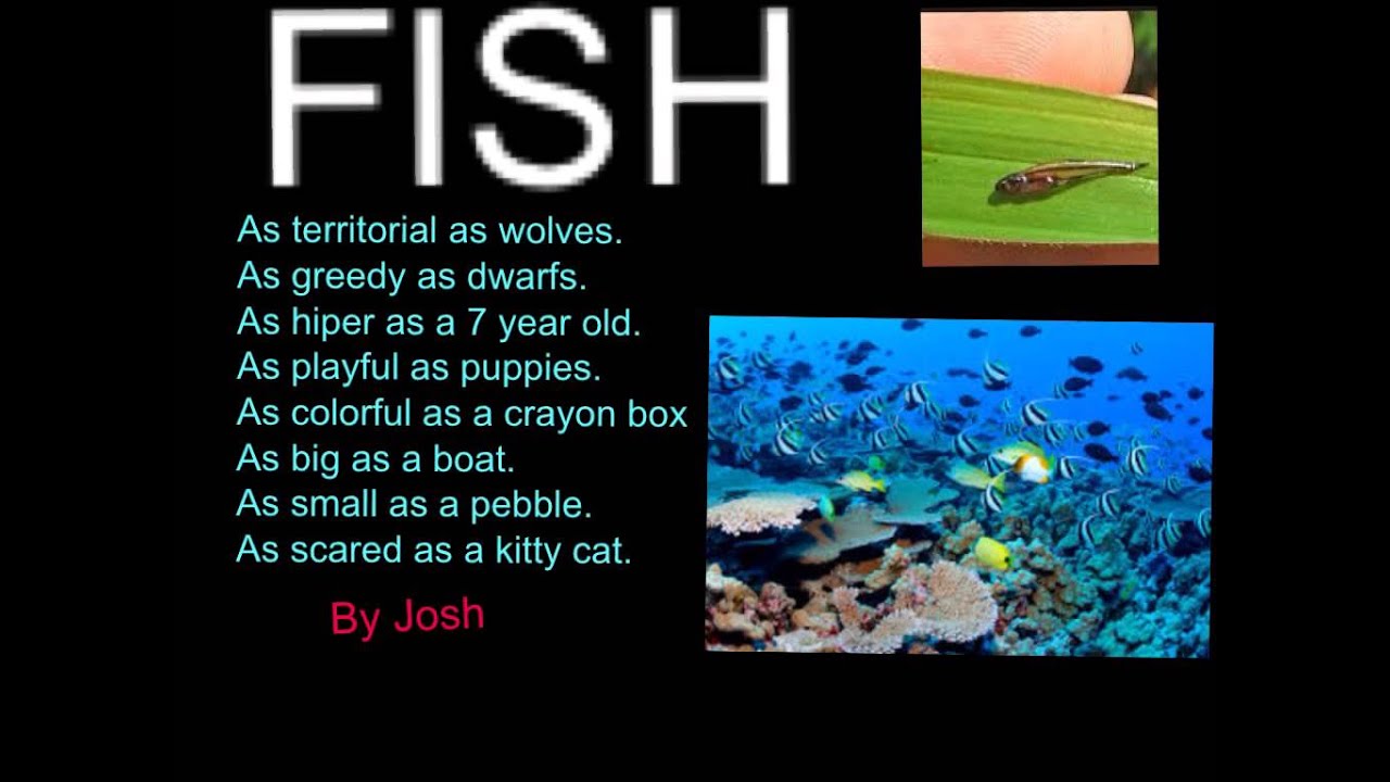 Josh Poem - YouTube