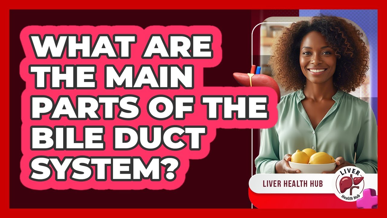 What Are The Main Parts Of The Bile Duct System? - YouTube
