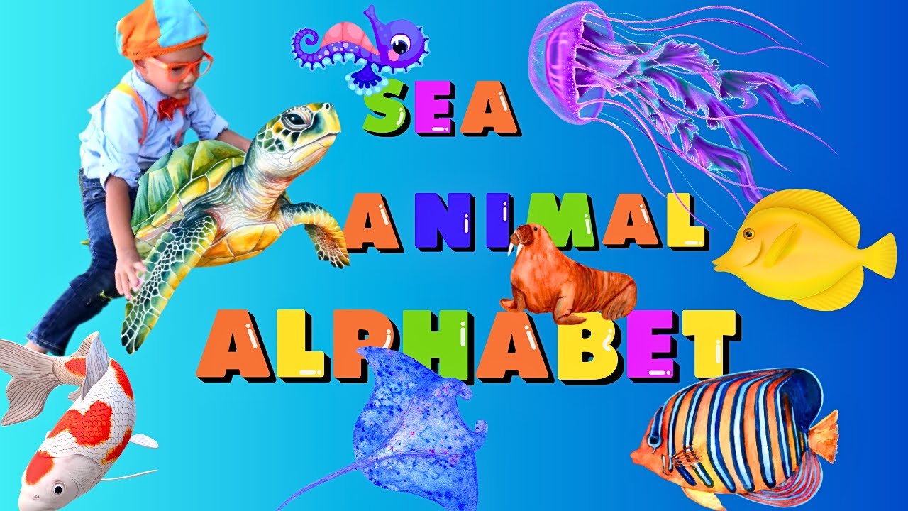 Blippi's Fan's ABC Sea Animal Alphabet For Toddler/Kids Picture Book ...
