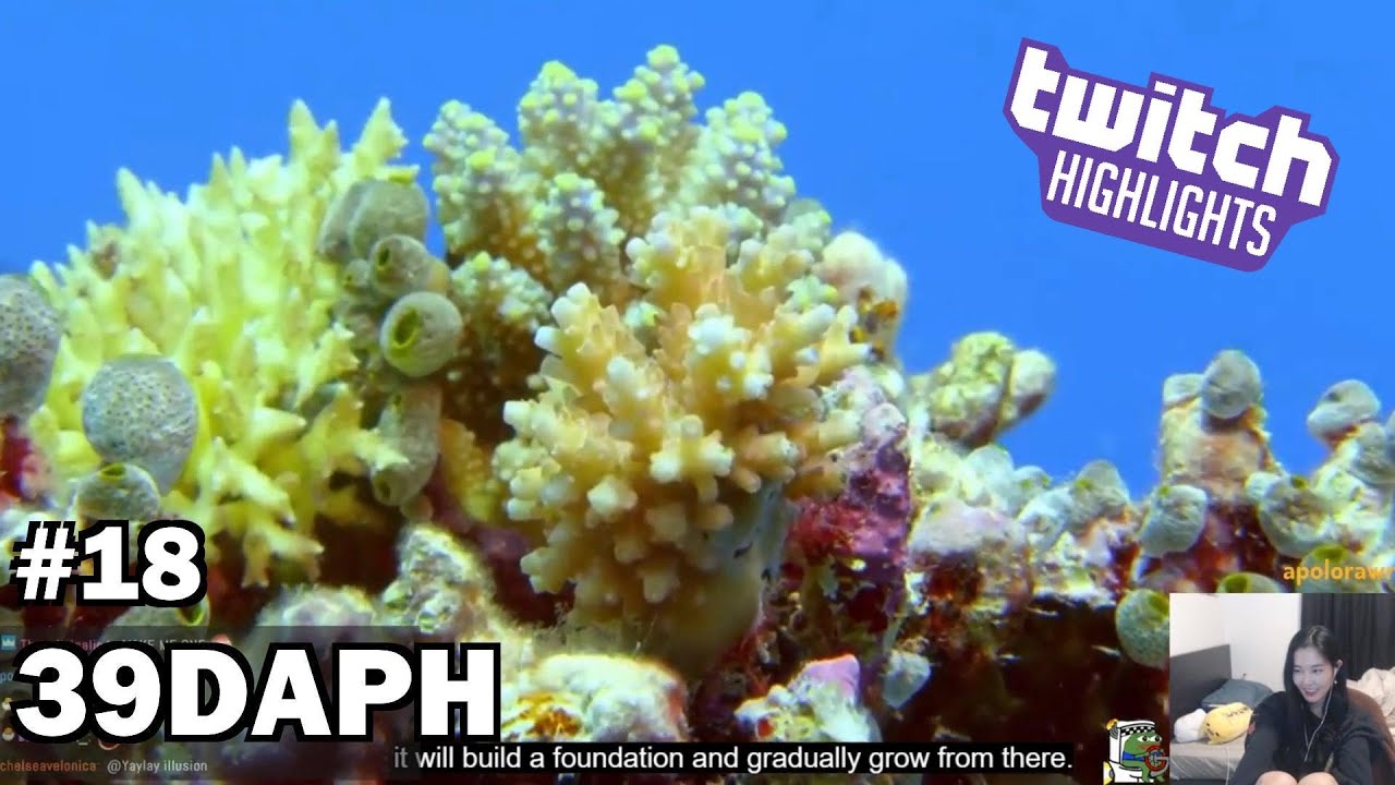39DAPH - Twitch Highlights/Funny Moments #18 - YouTube