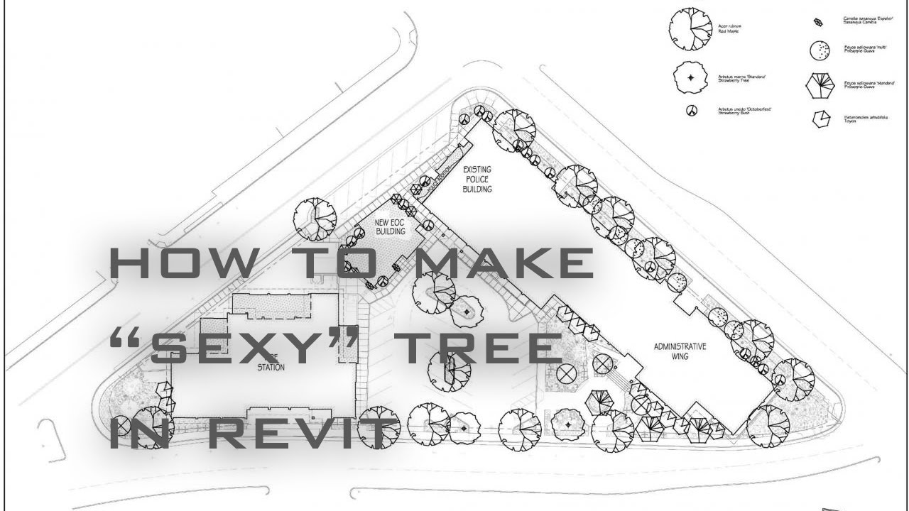 Revit Tutorials How To Edit Tree In Revit Sexy Plan Part 2 Youtube revit-tutorials-how-to-edit-tree-in-revit-sexy-plan-part-2-youtube