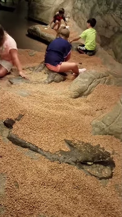 Digging for fossils at academy of natural sciences - YouTube