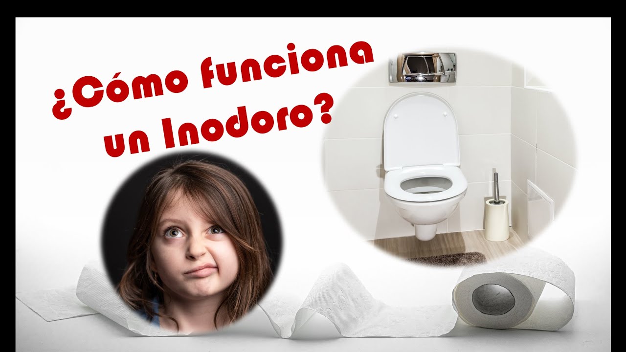 ¿Cómo Funciona un Inodoro? Análisis de Funciones de sus componentes ...
