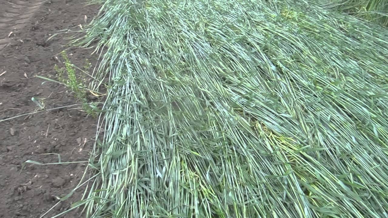 Roller Crimper in action - YouTube