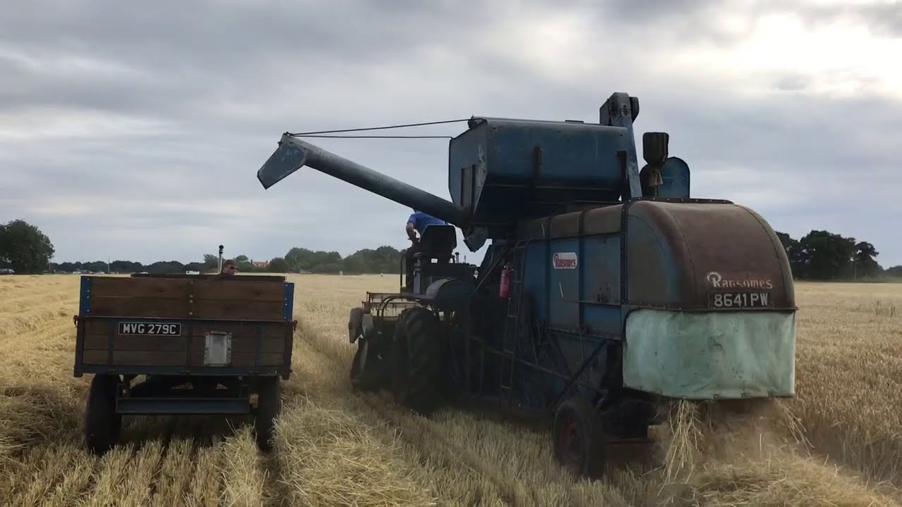Old Ransomes combine cutting barley - YouTube