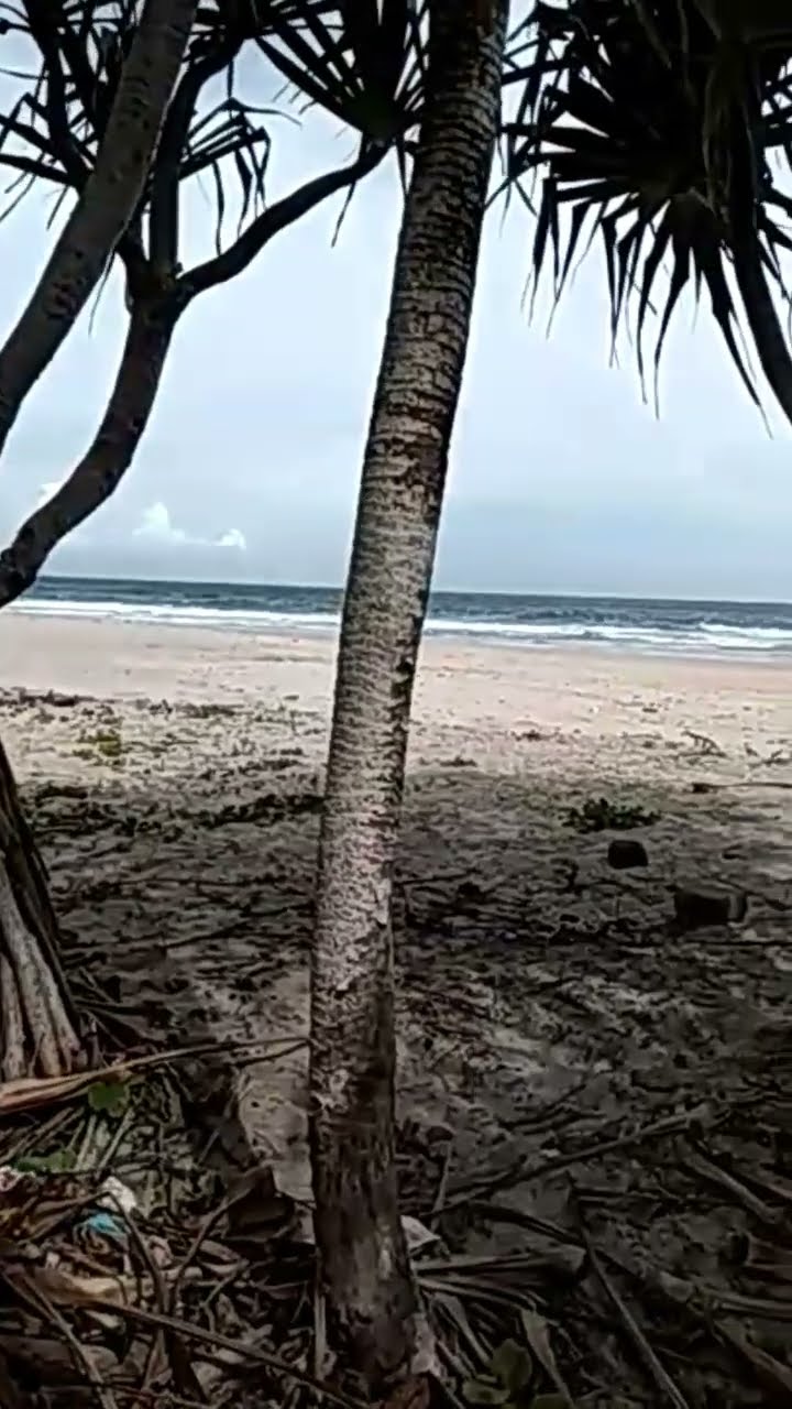 pantai MLG sel - YouTube