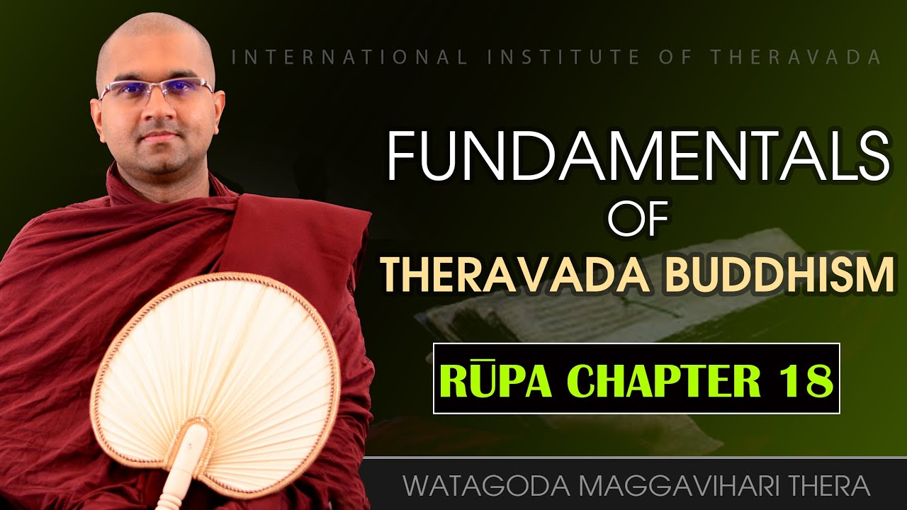 018 | Rupa | Rupa Chapter | Fundamentals of Theravada Buddhism | IIT ...