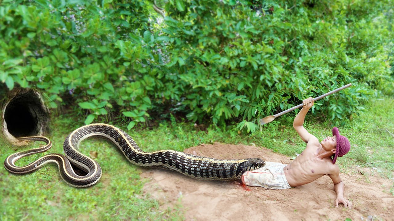 Primitive technology - Easy Snake Trap Using Car Tyre & PVC Catch Big Snake (Work 100%) # ...